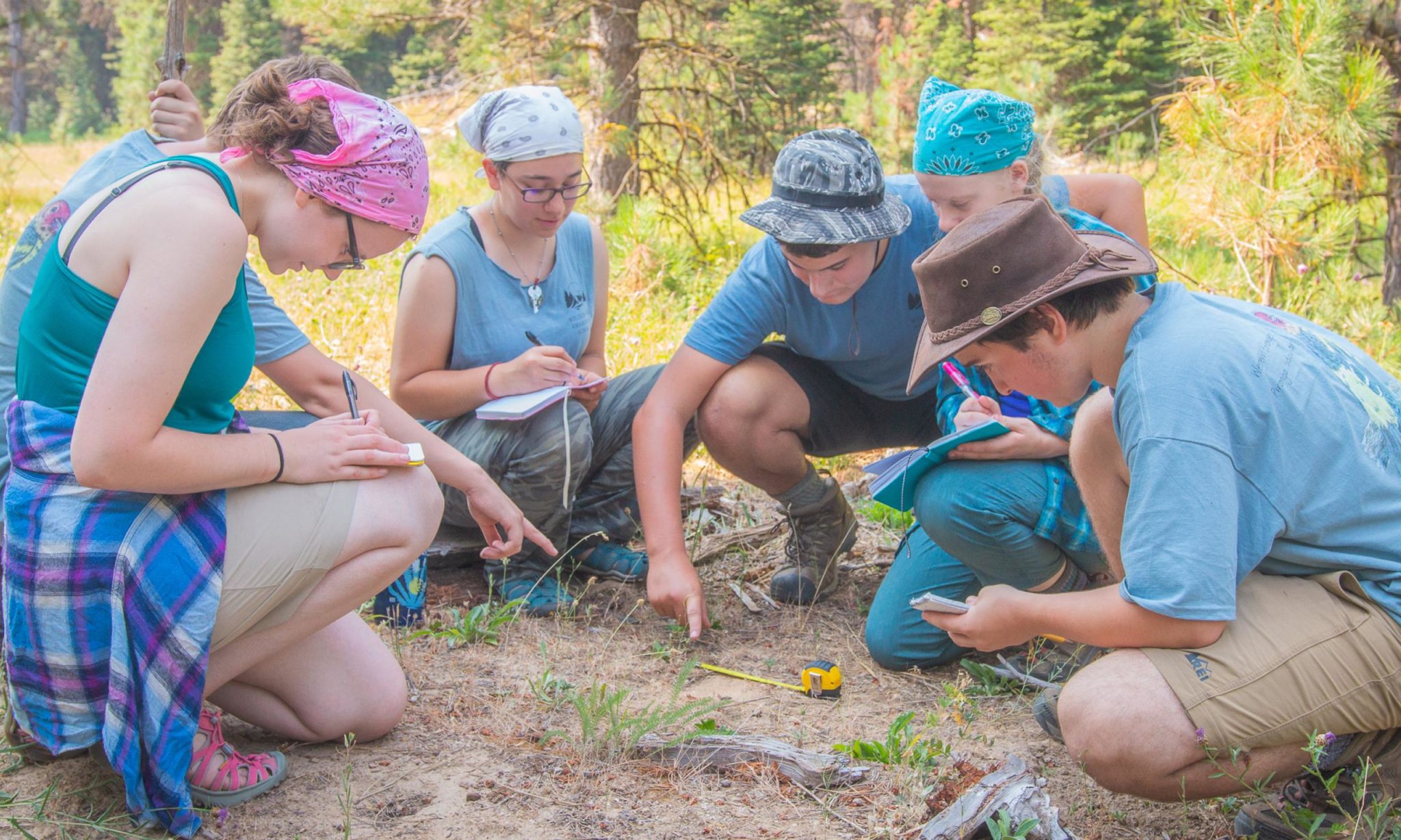 Wolf Tracking » Wilderness Awareness School