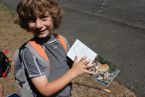 Summer Camps » Wilderness Awareness School