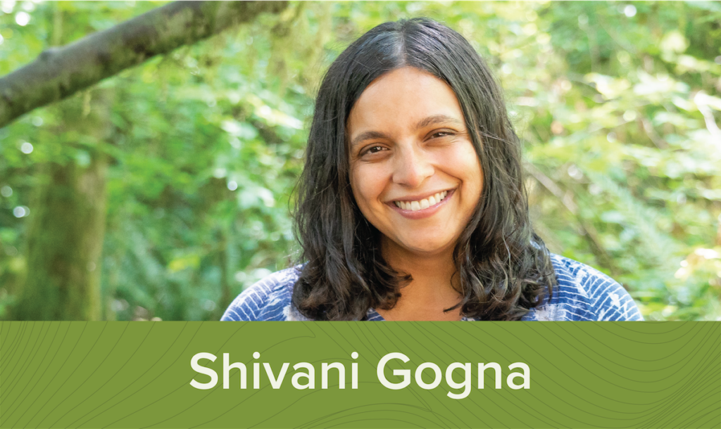 Youth School » Wilderness Awareness School