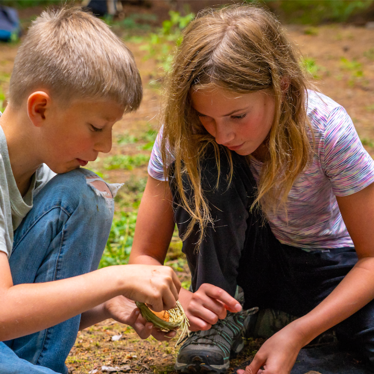 Survival Skills » Wilderness Awareness School