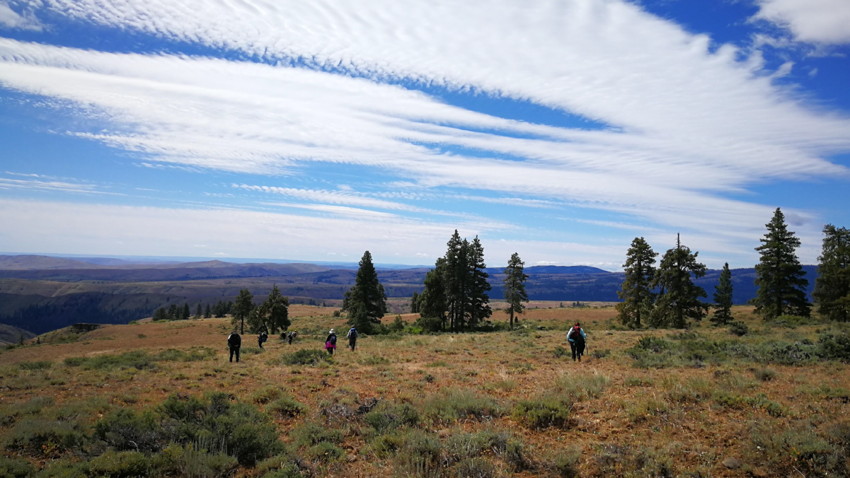 Wilderness Survival Trek » Wilderness Awareness School